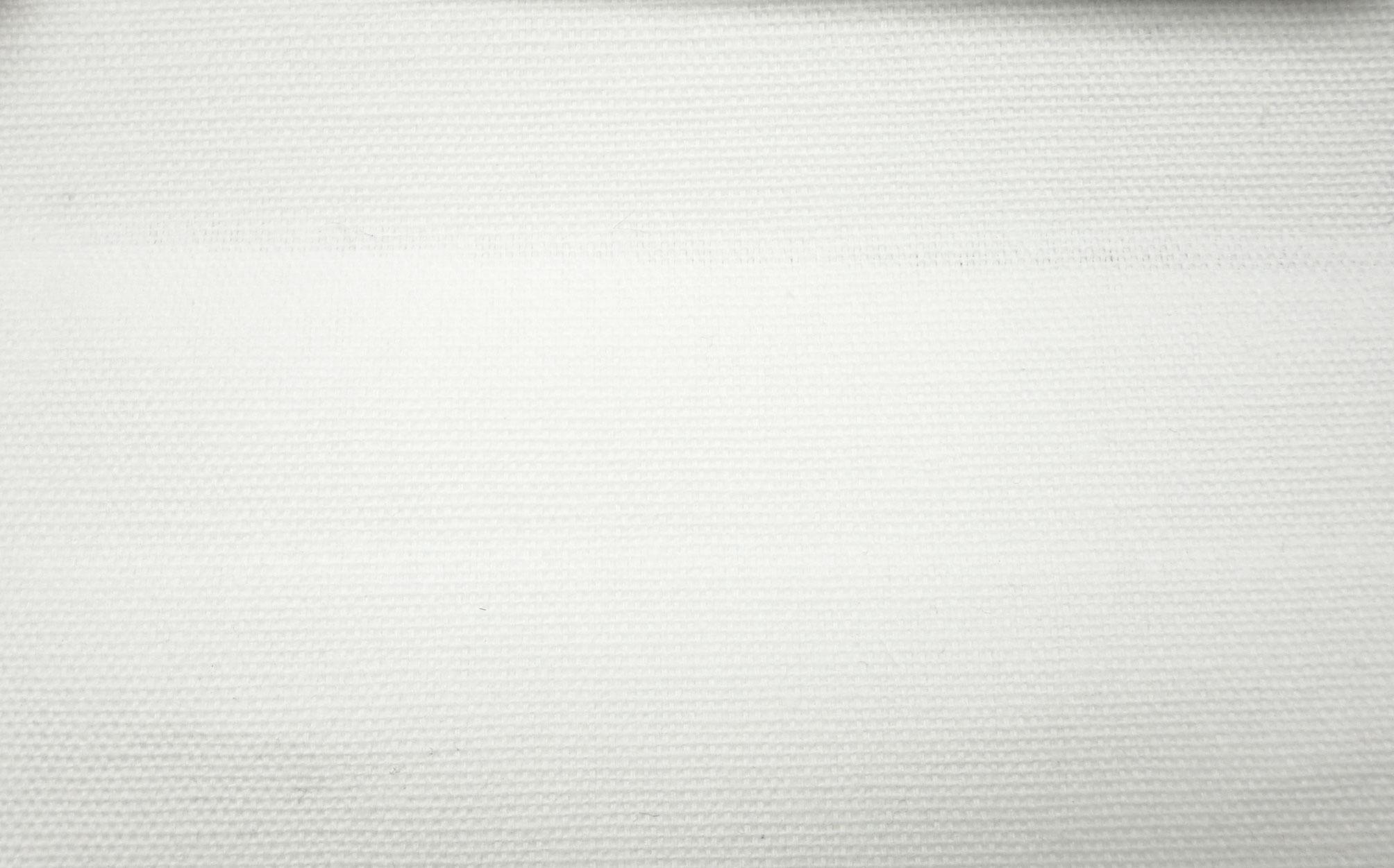 James Thompson Duck Canvas White Fabric