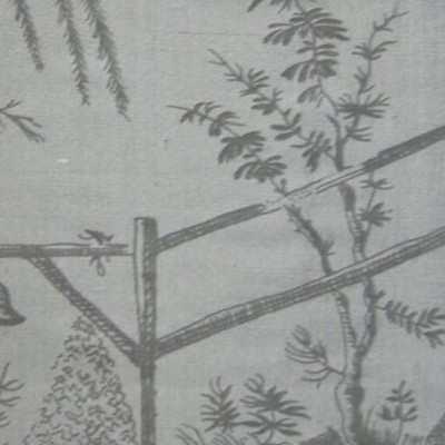 Catania Silks Silk Toile Print 6 Fabric