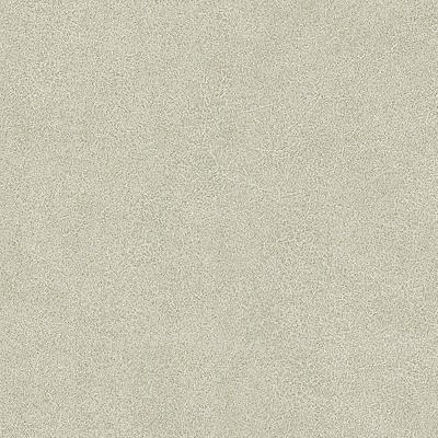 Brewster Wallcovering Jaipur Light Green Elephant Skin Texture Wallpaper