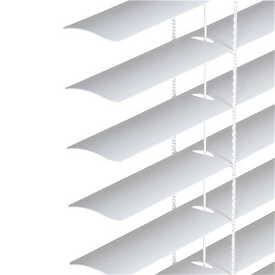 1 Inch Cordless Vinyl Mini Blind 25x48 Blinds