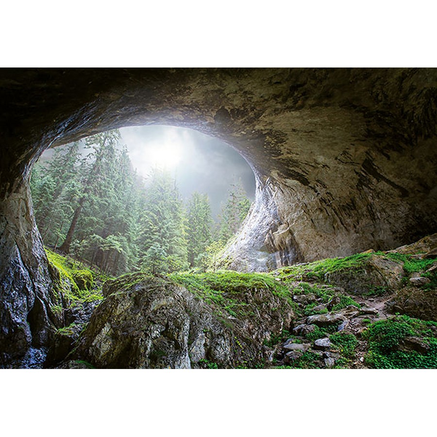 Cave In The Forest Wall Mural Wallpaper