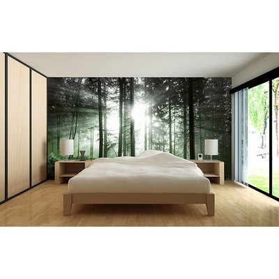 Sun Rays Wall Mural Wallpaper