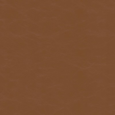 Stout Accurate 3 Acorn Fabric