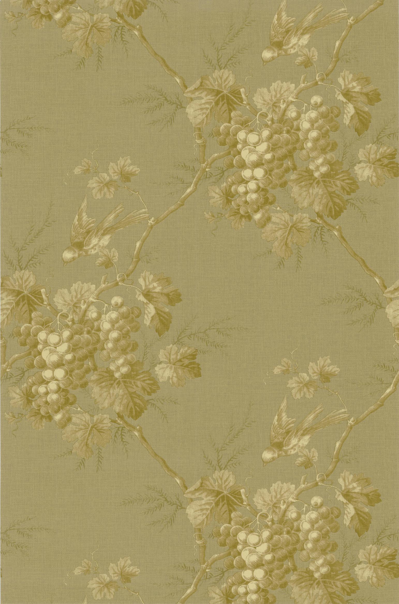 Brewster Wallcovering Napa Valley Gold Grape Toile Wallpaper Wallpaper