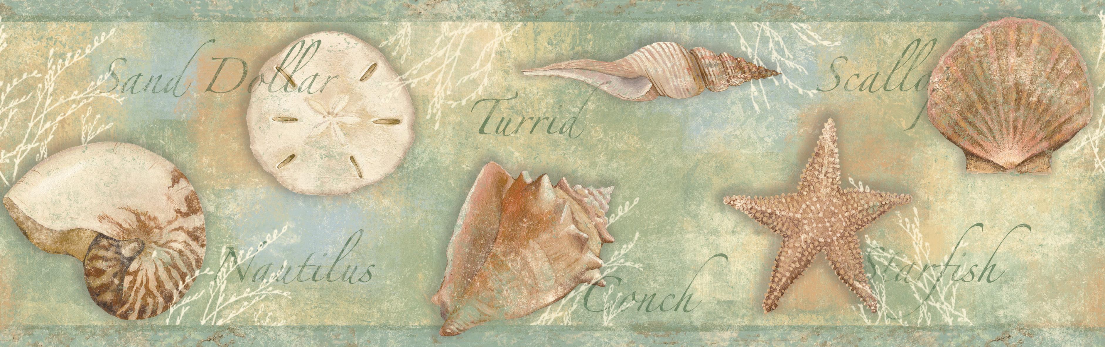 Brewster Wallcovering Green Sea Shells Border Wallpaper